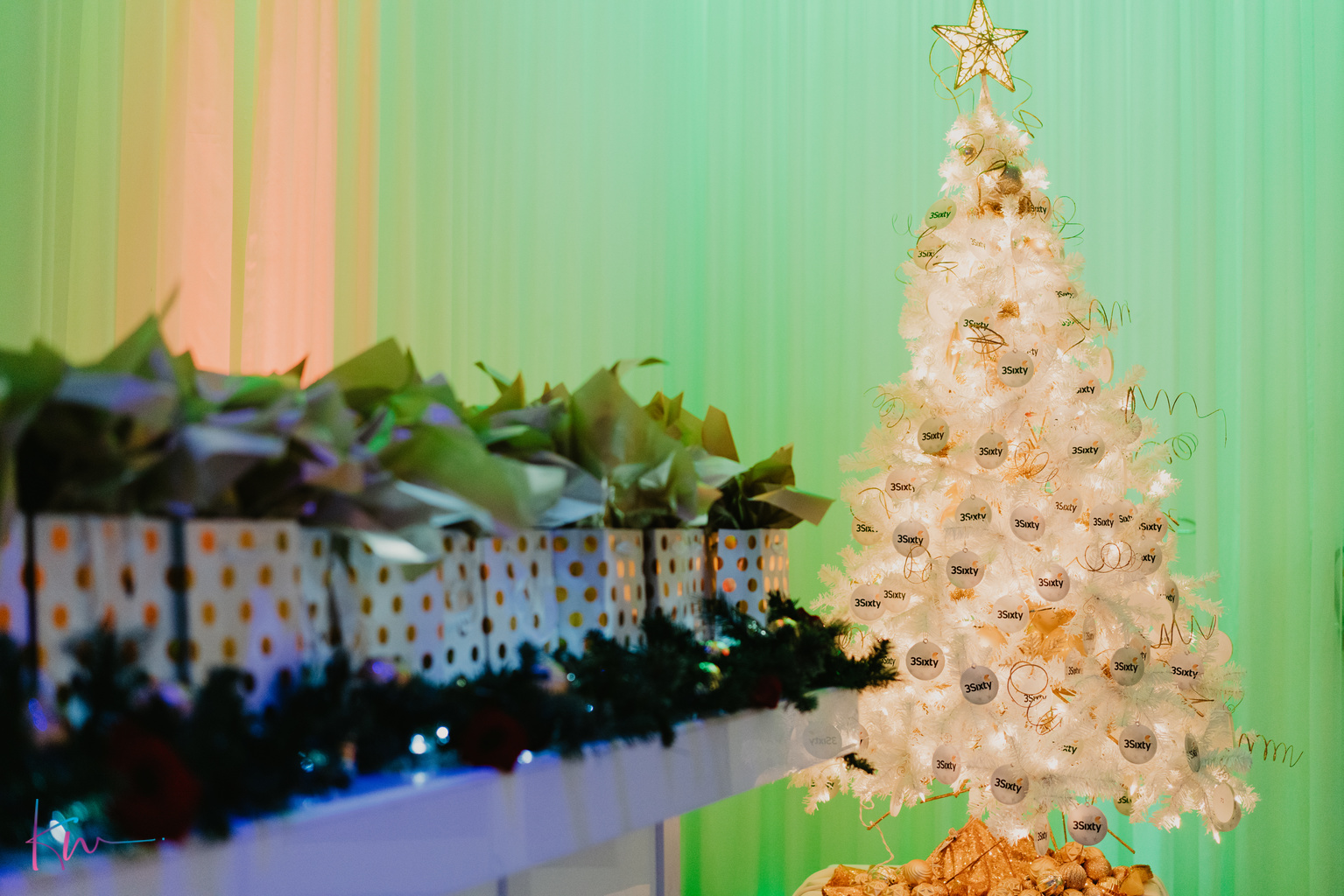 Gallery – Keith Willard Events